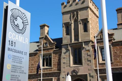 CCAMLR searches globally for new Executive Secretary | CCAMLR