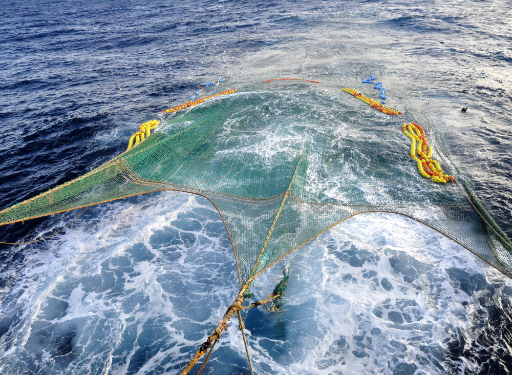 Krill fisheries and sustainability | CCAMLR